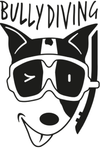 Scuba diving Tremiti islands | Rodi Resort